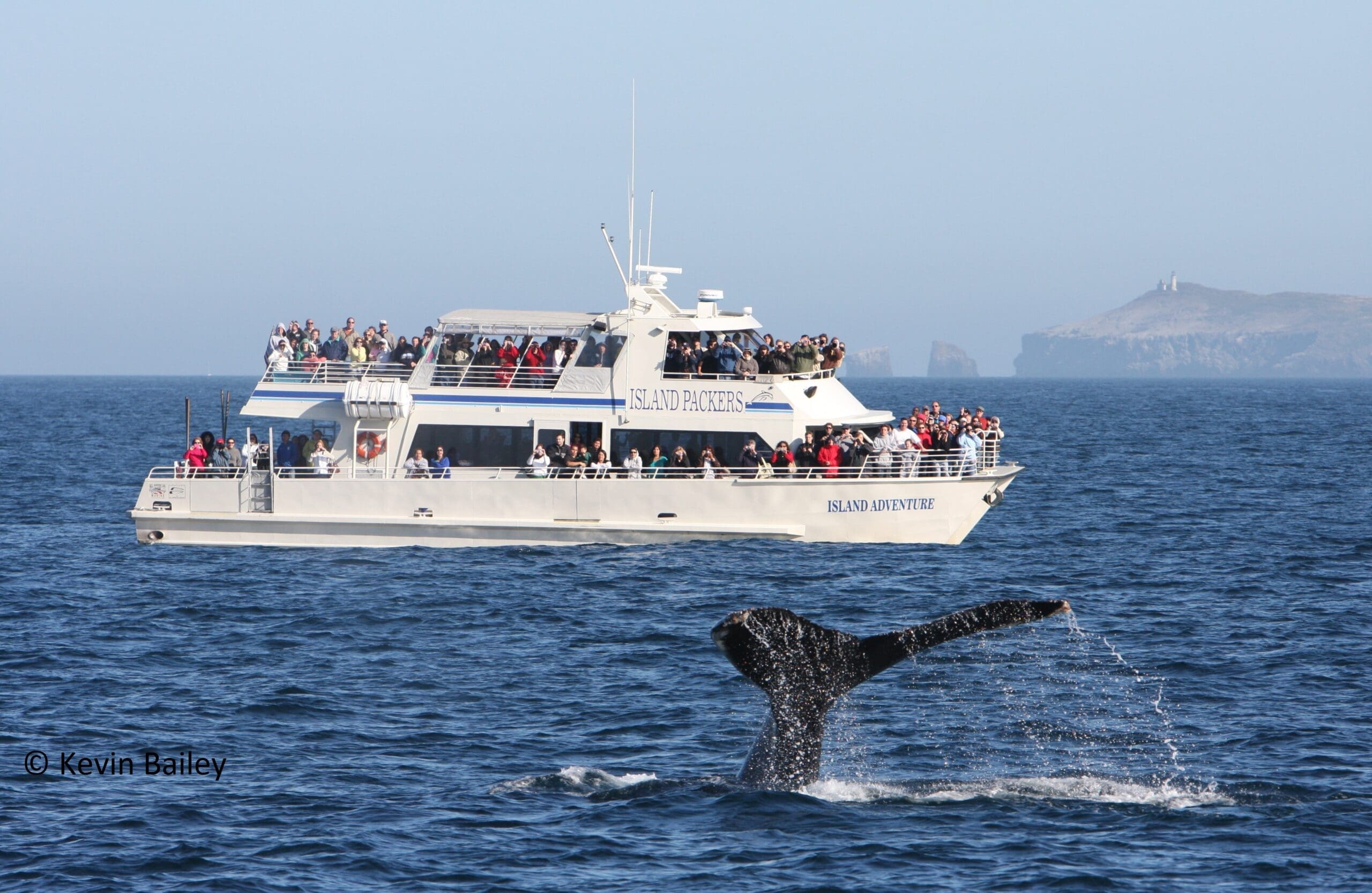 Channel Islands National Park Announces Award of 10-year Contract to Provide Year-round Boat ...